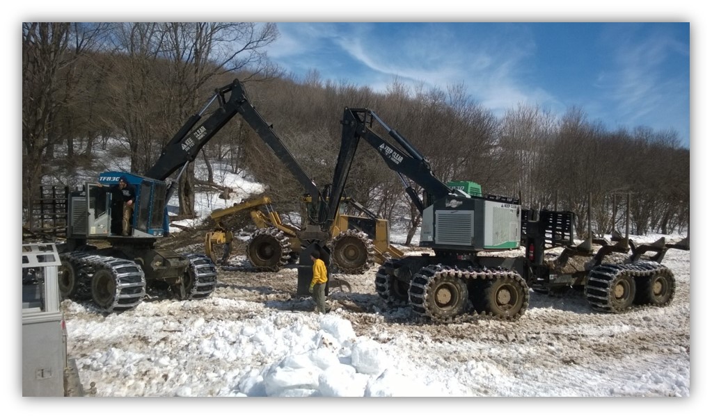 Logging & Land Clearing | TREEMASTERS | Groton, NY | Logging ...