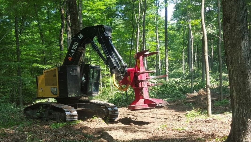 Logging & Land Clearing | TREEMASTERS | Groton, NY | Logging ...