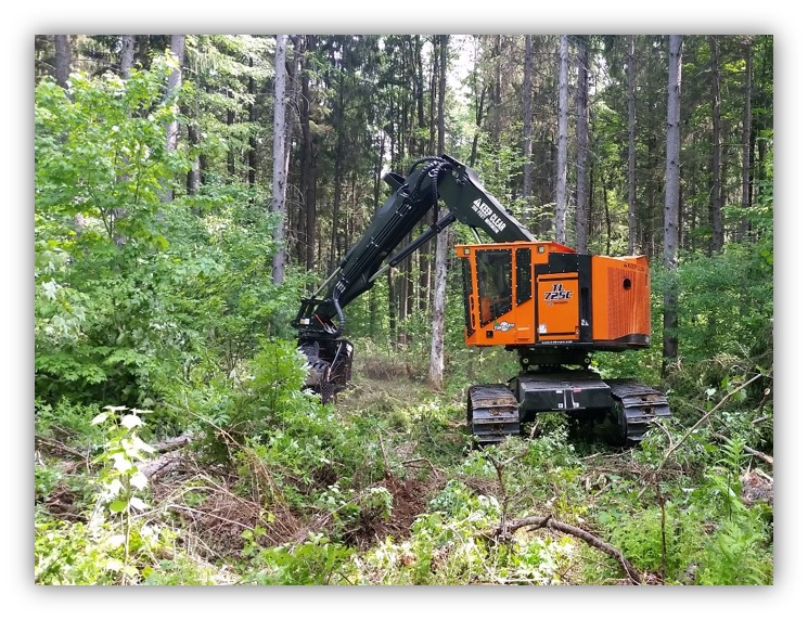 Logging & Land Clearing | TREEMASTERS | Groton, NY | Logging ...